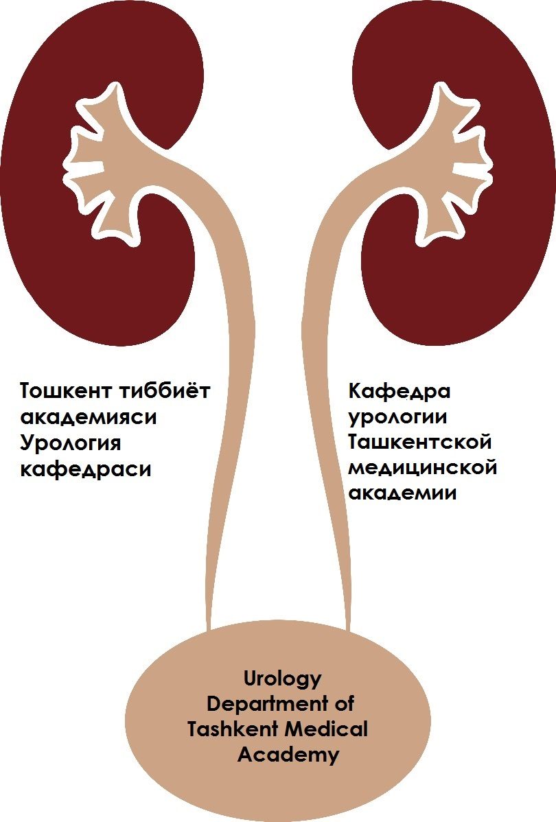 Urology Department – Tashkent Medical Academy